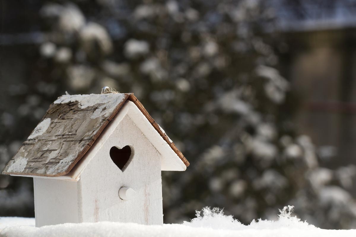 5 Tips: Winter Landscaping for Birds | Lyric Wild Bird Food